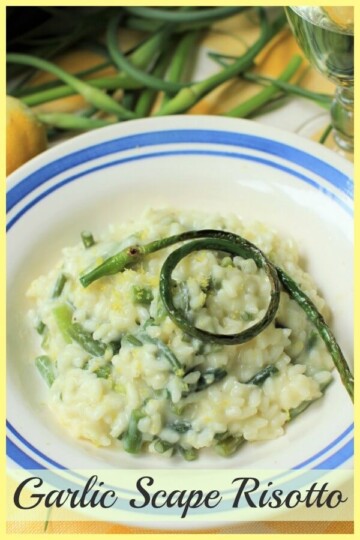 Garlic Scape Risotto, Luscious, Creamy & Garlicky| Kitchen Frau