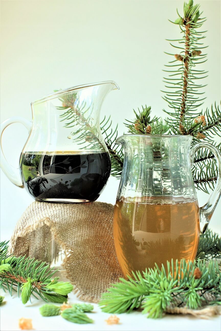 Spruce Tip Syrup Recipe, Two Ways | Kitchen Frau
