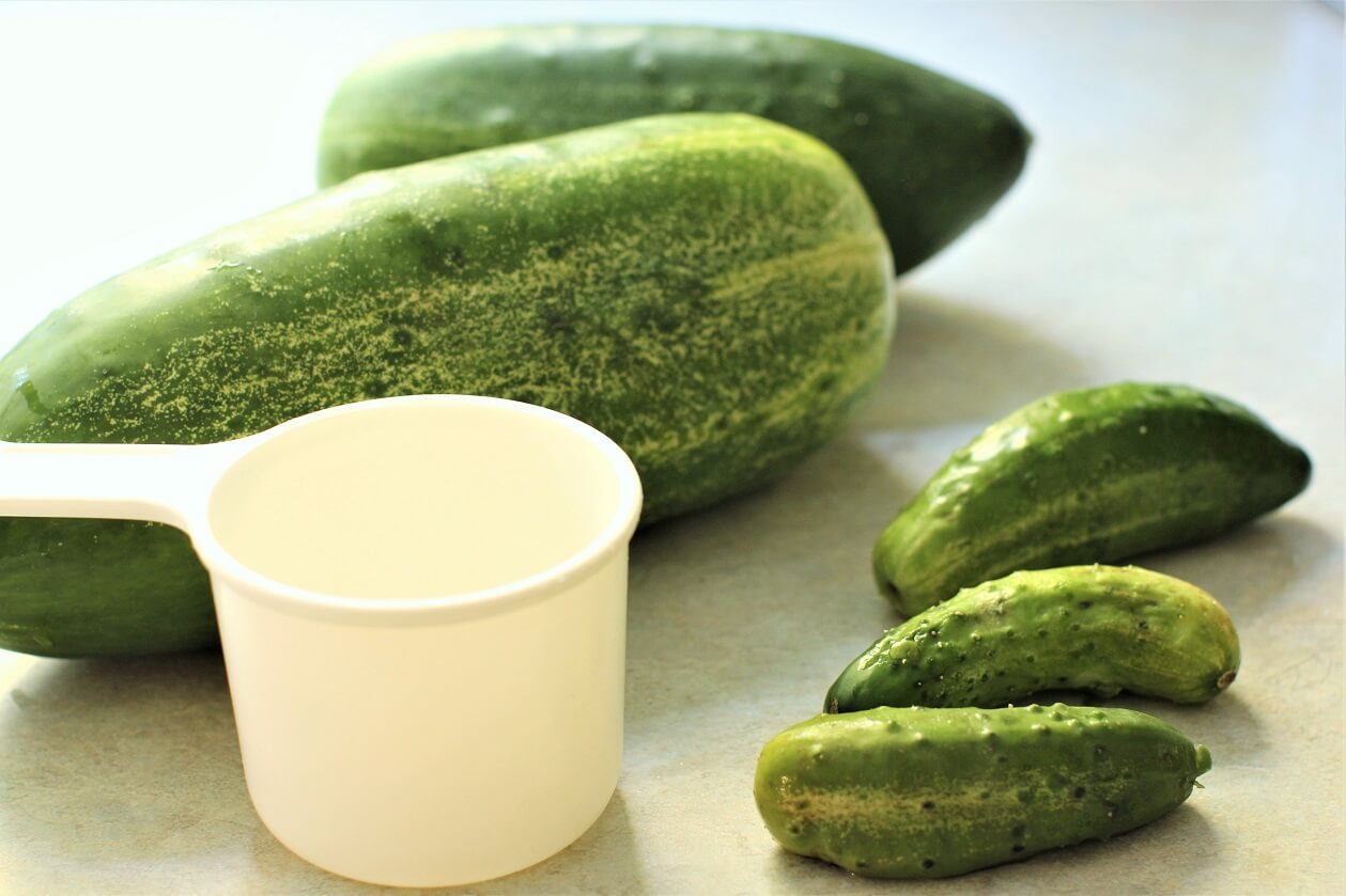 Pickle Relish Made with Overripe Cucumbers | Kitchen Frau