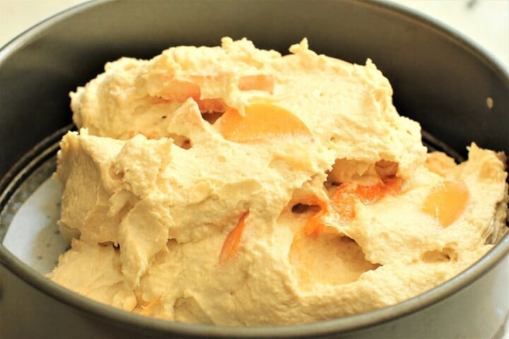 Apricot Cake | Kitchen Frau