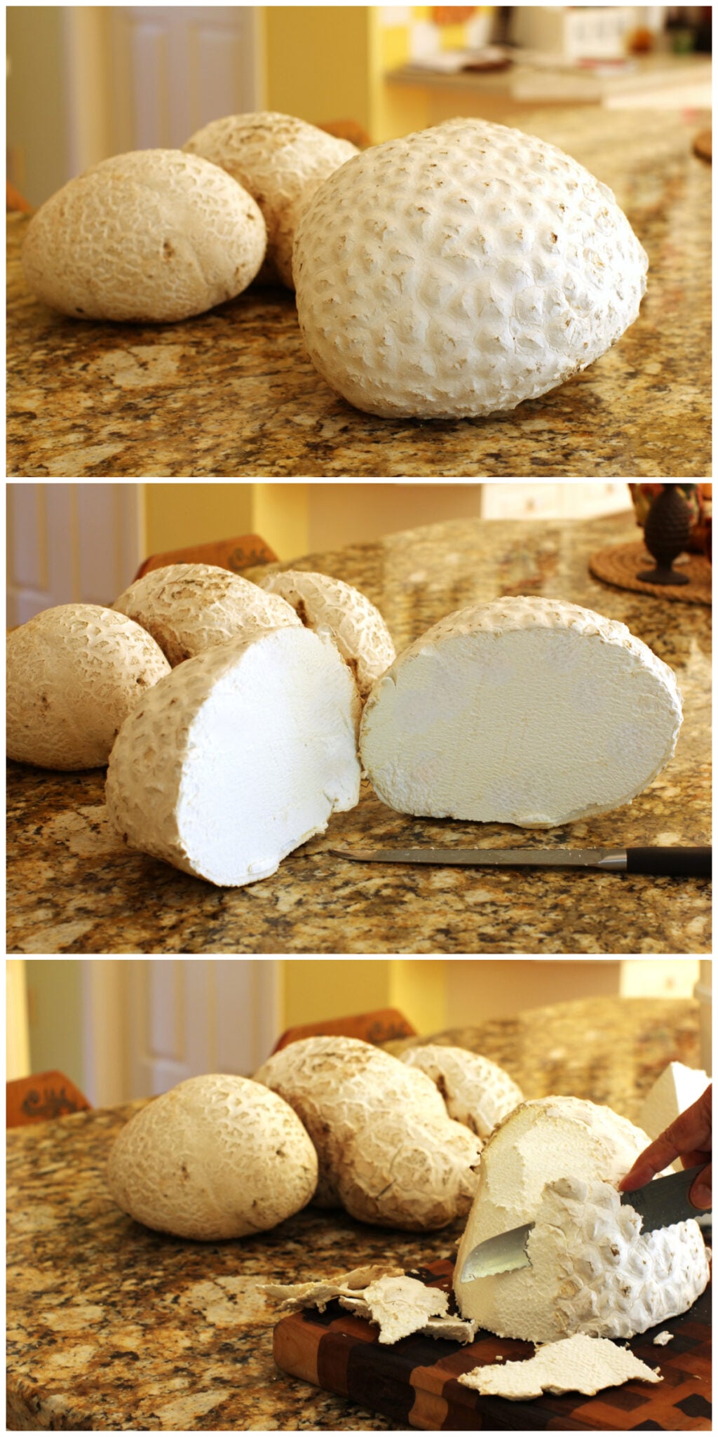 Cream of Puffball Soup - Kitchen Frau
